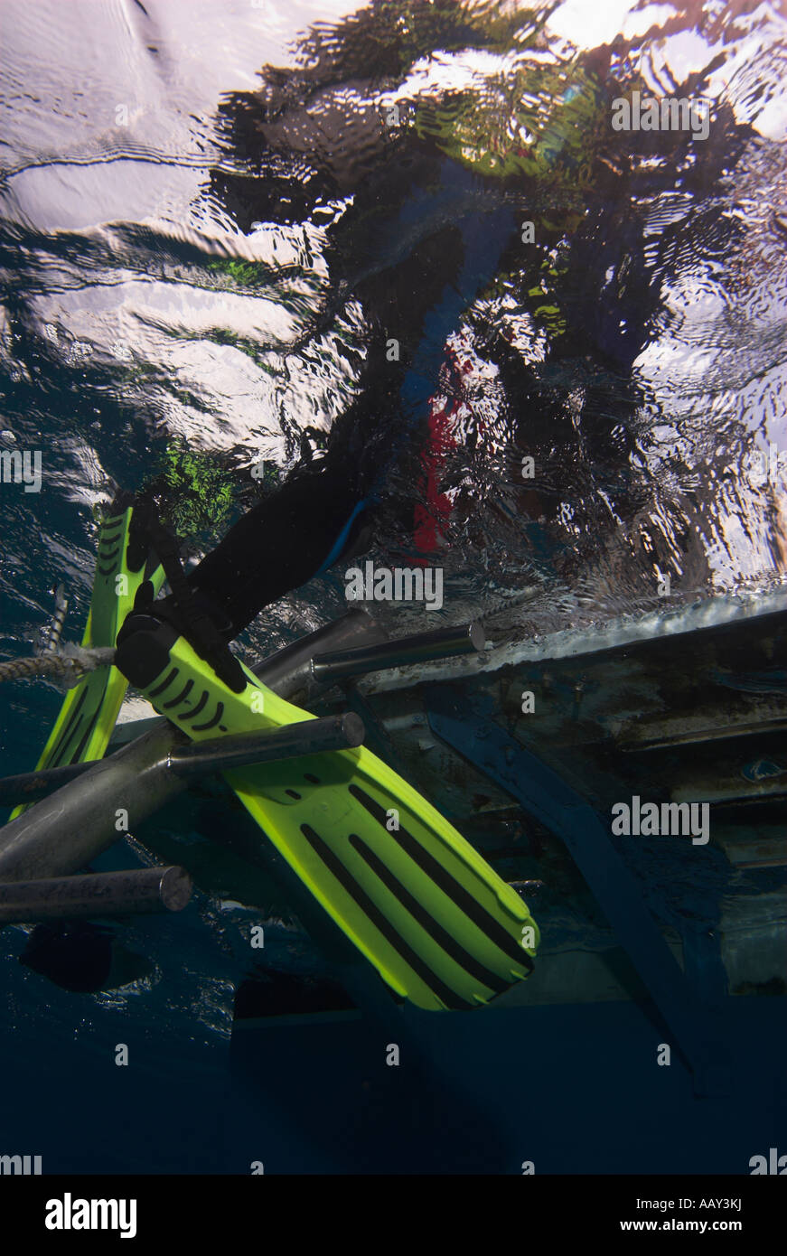 Abstract from underwater diver climbing onto boat using single spine ...