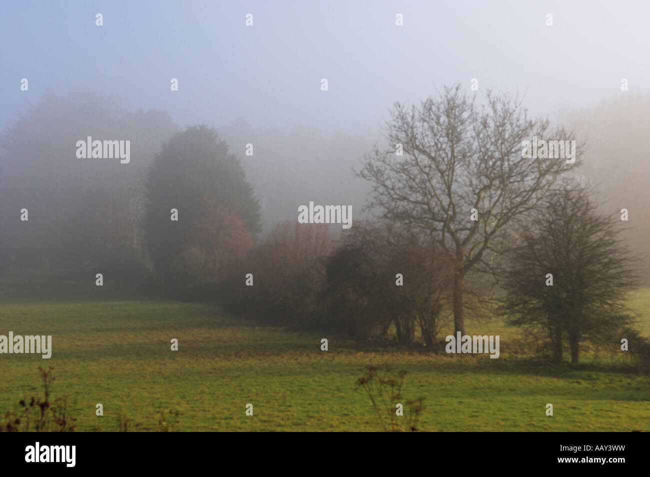 Foggy day English countryside Stock Photo - Alamy