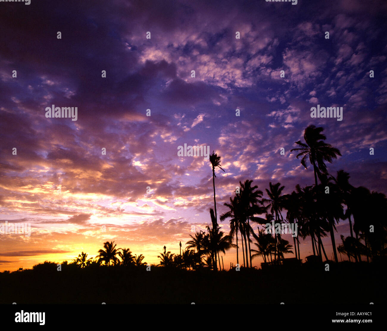 Playas ecuador hi-res stock photography and images - Alamy