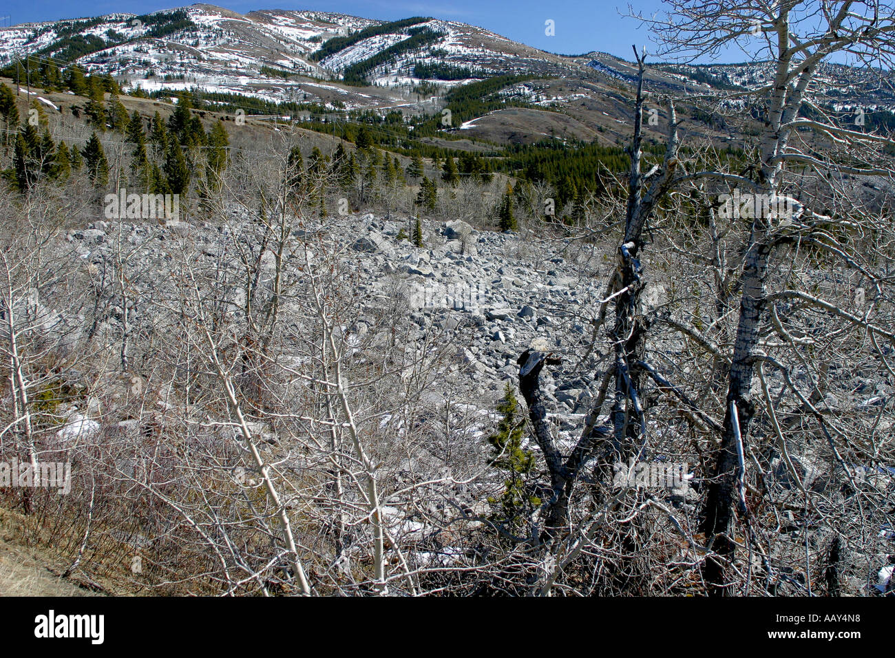 Rock slide, Crowsnest Pass, Frank Slide, Turtle Mountain, Alberta ...