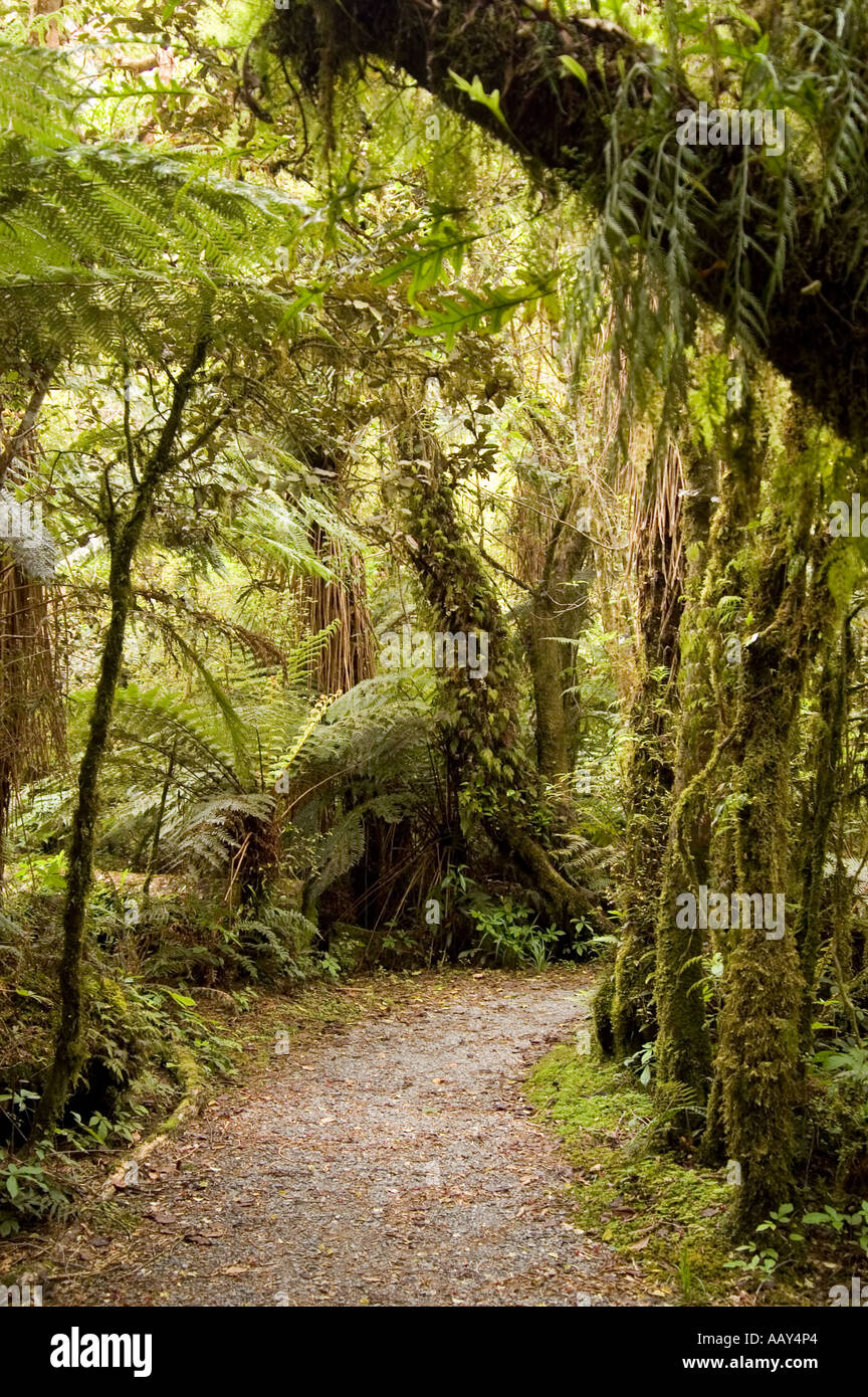 Native plants on trail hi-res stock photography and images - Alamy
