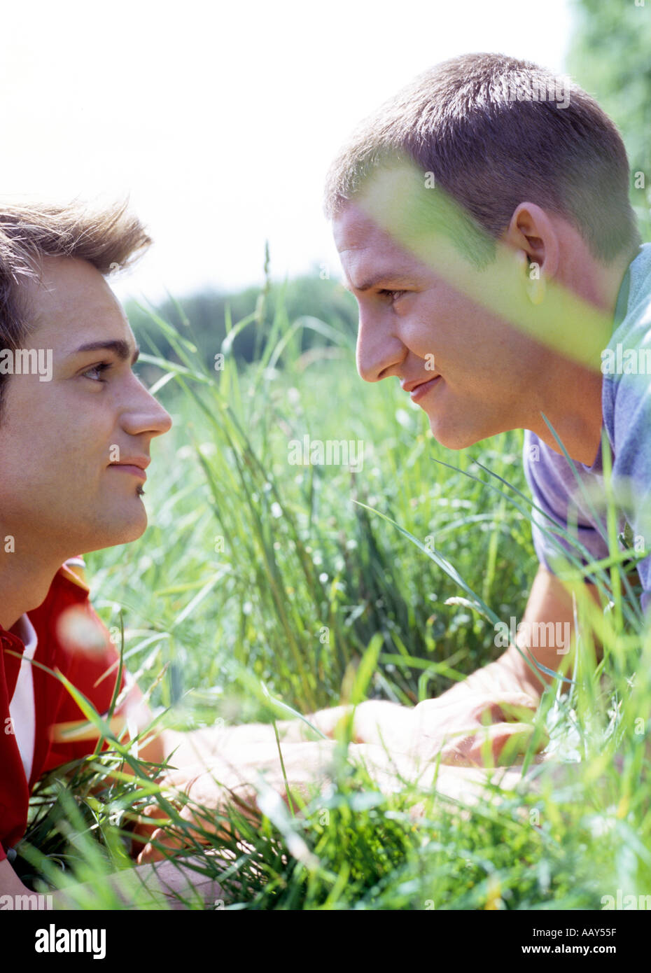 Romance between hi-res stock photography and images - Alamy