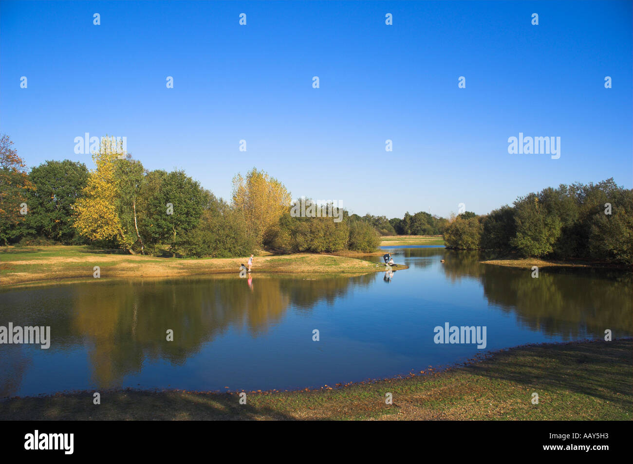Europe UK London Mitcham Common pond with children Stock Photo - Alamy