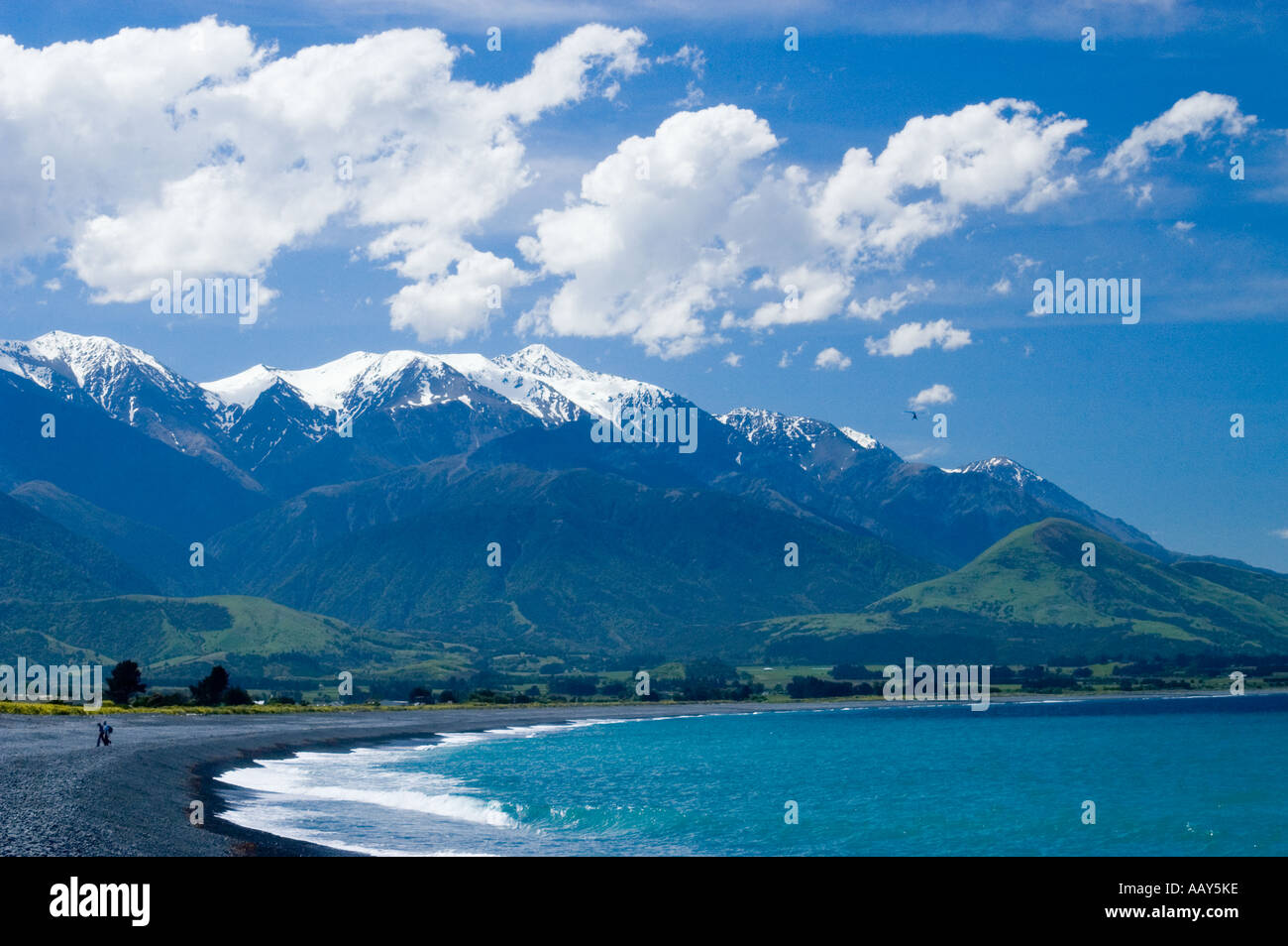 Kaikoura South Island NZ Stock Photo - Alamy