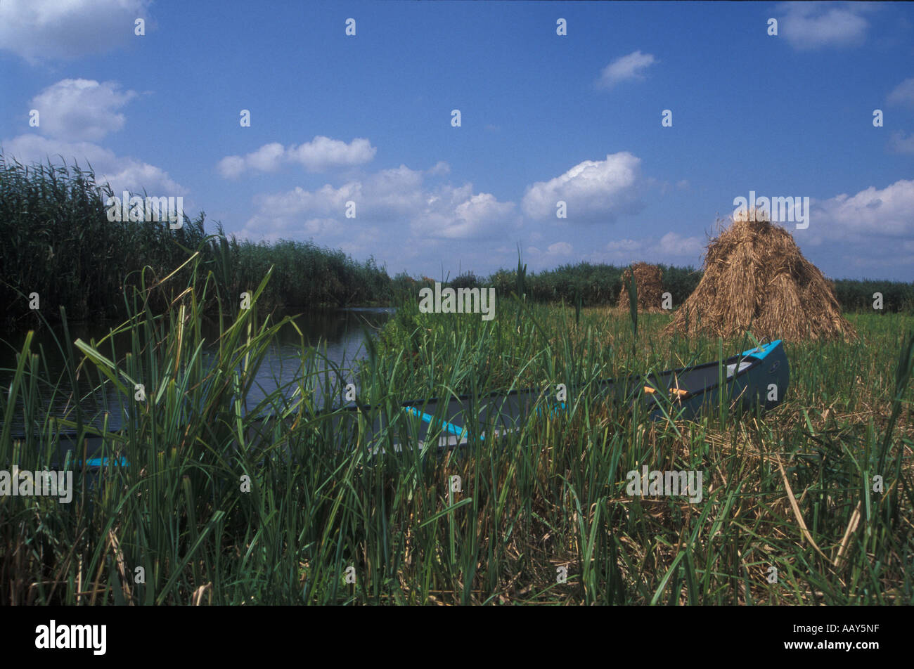 Canoe and Haystack, Crisan, Danube Delta, Romania Stock Photo - Alamy