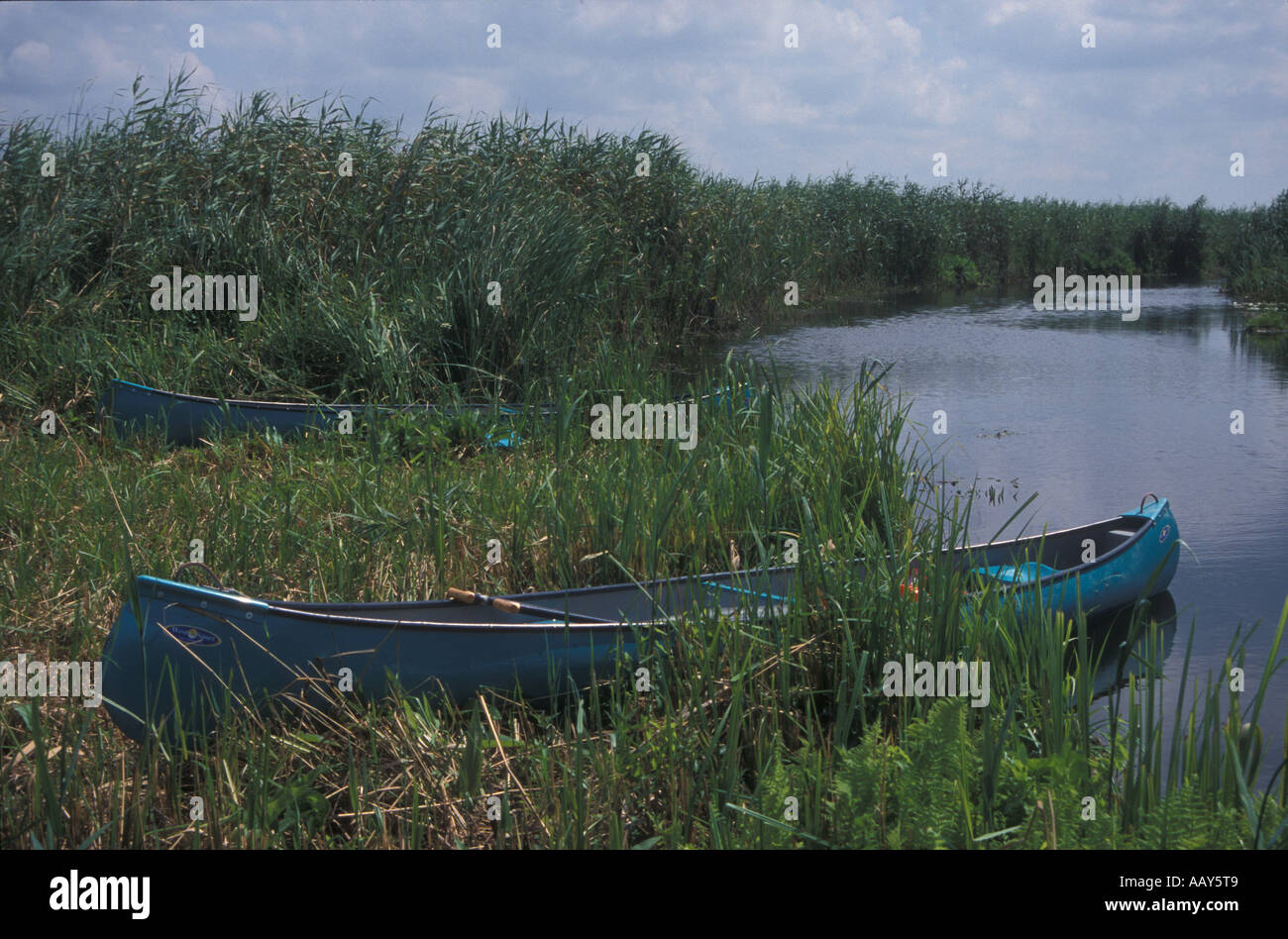 Canoes pulled onto the bank, Danube Delta, Romania Stock Photo - Alamy