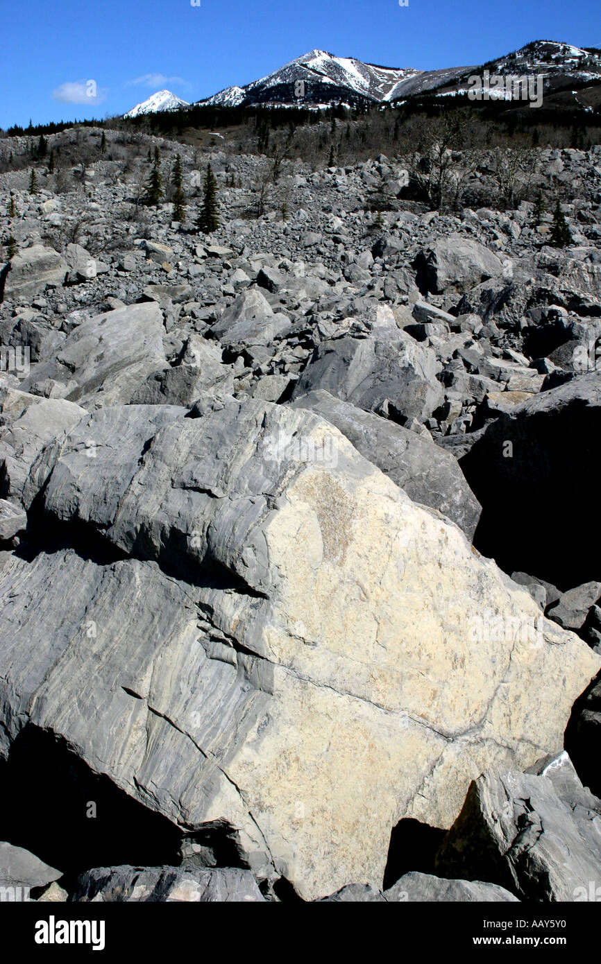 Rock slide crowsnest pass frank hi-res stock photography and images - Alamy
