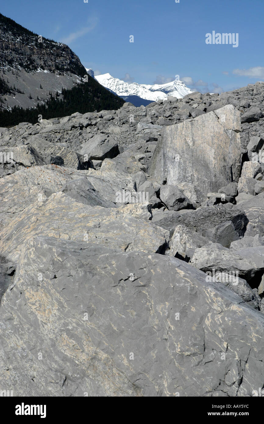 Rock slide, Crowsnest Pass, Frank Slide, Turtle Mountain, Alberta ...