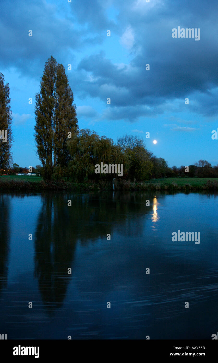 Moonlit tree hi-res stock photography and images - Alamy