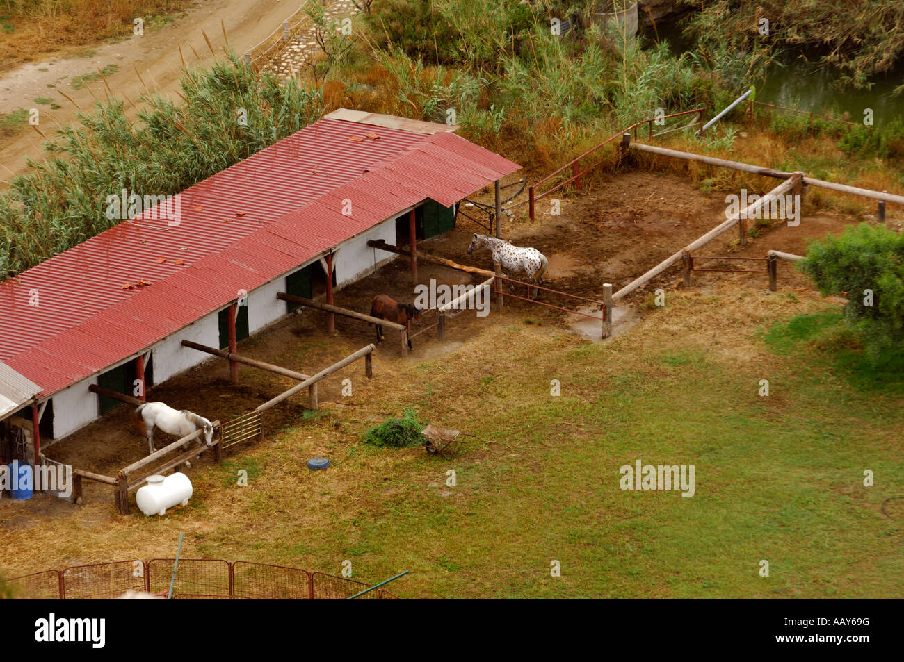 Horses in a stable aerial Stock Photo - Alamy