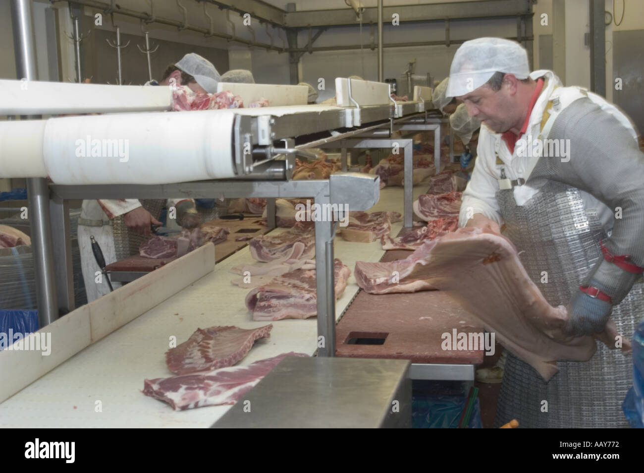 Red Meat processing factory All pictures taken with concent of owner ...