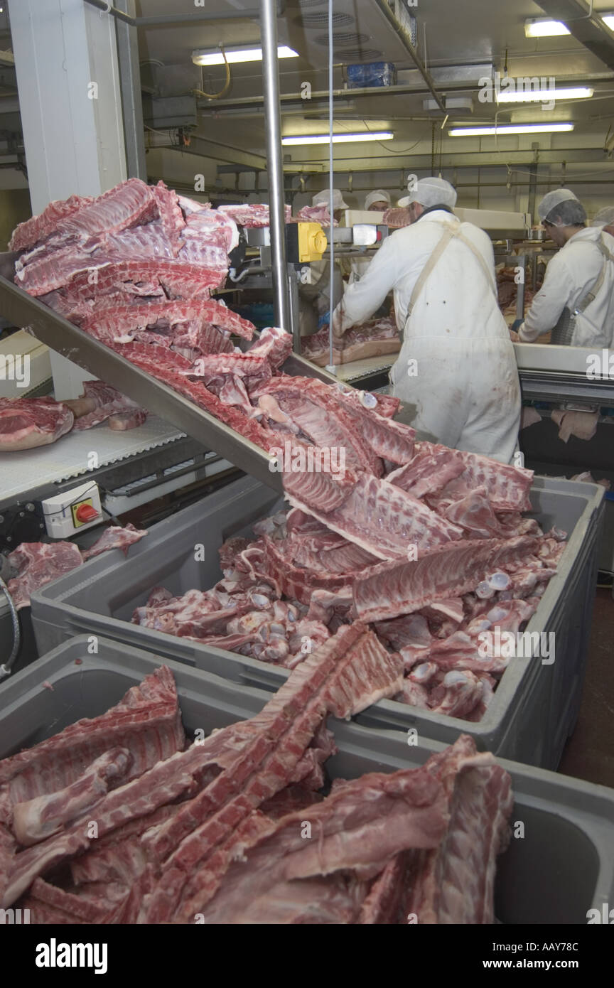 Red Meat processing factory All pictures taken with concent of owner ...