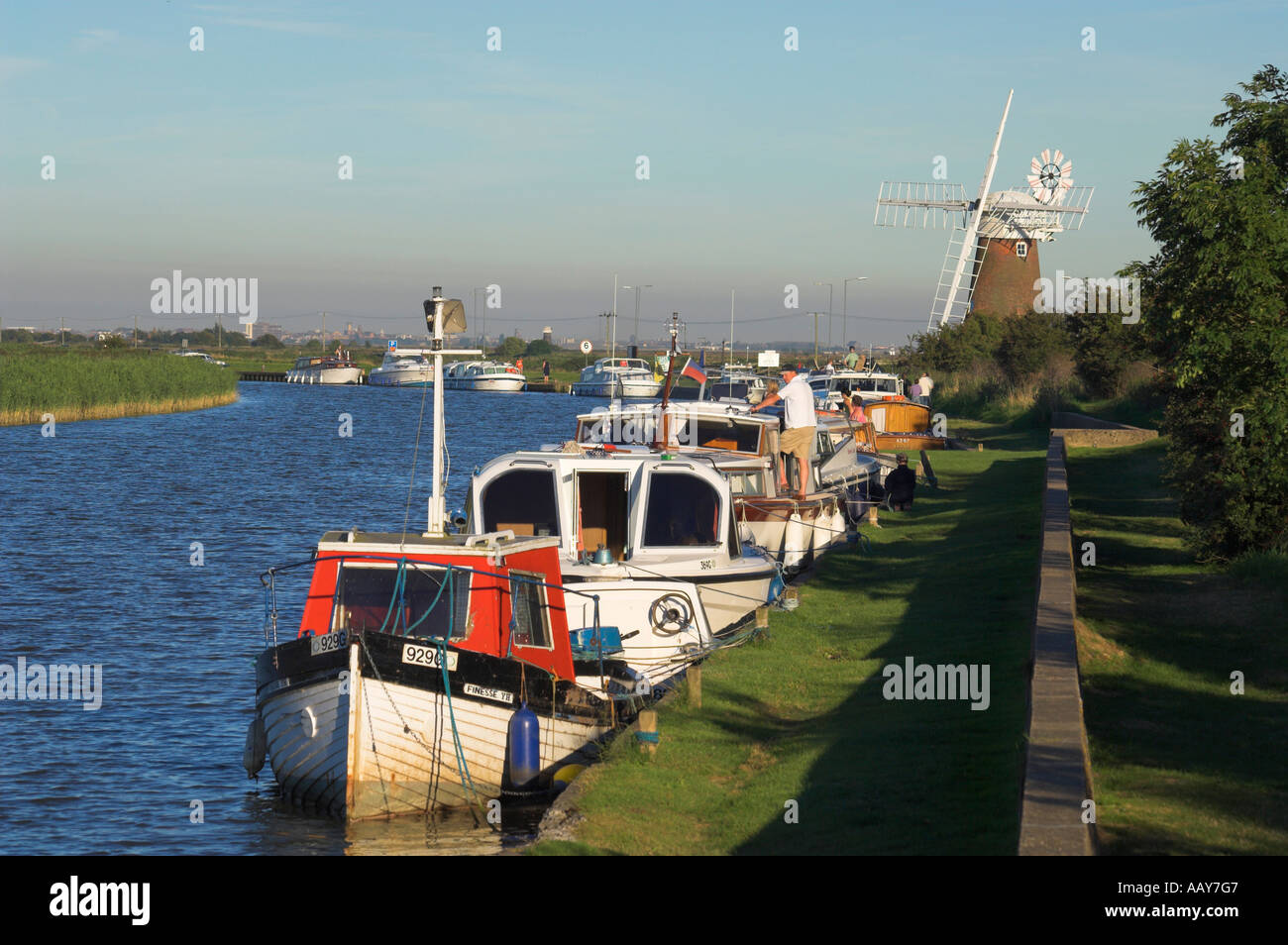 Three feathers hi-res stock photography and images - Alamy