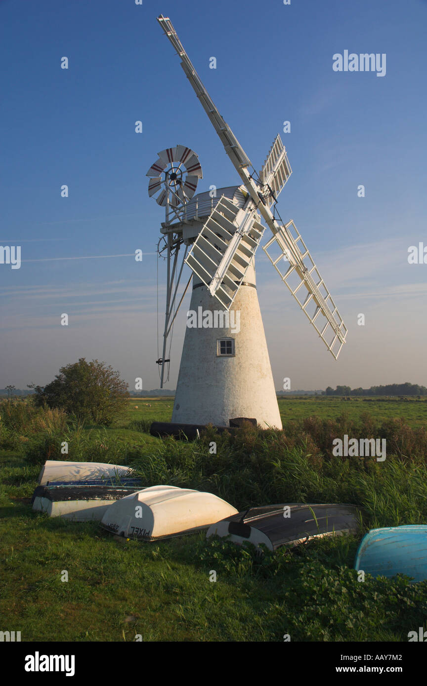 UK England Norfolk Broads river thurne broad windmill Stock Photo - Alamy