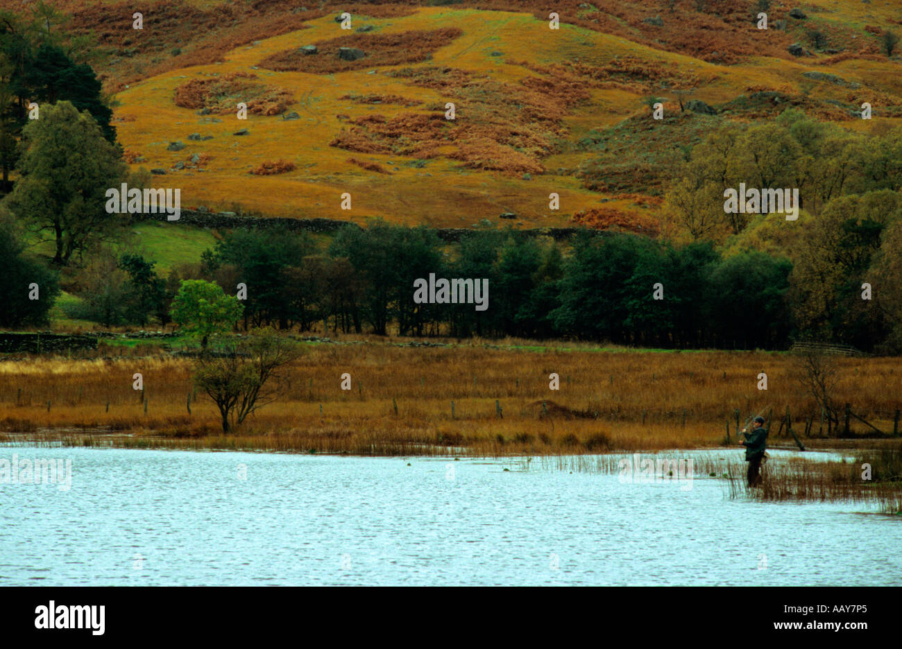 Watendlath Tarn The Lake District Cumbria England UK Stock Photo - Alamy
