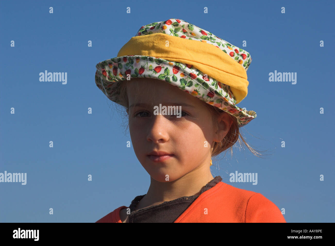 Warily hi-res stock photography and images - Alamy