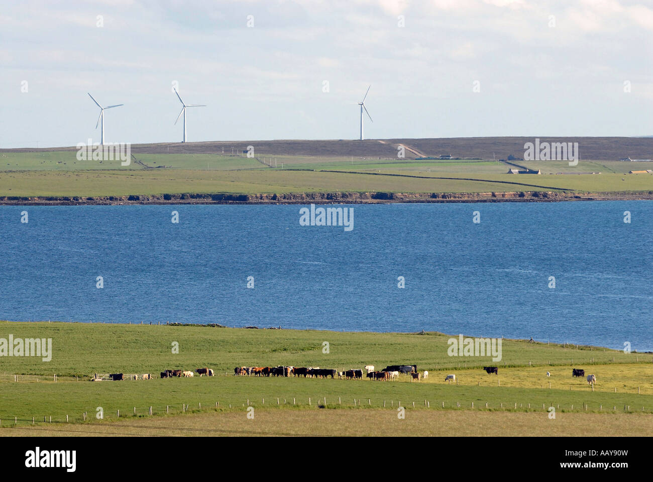 Stronsay hi-res stock photography and images - Alamy