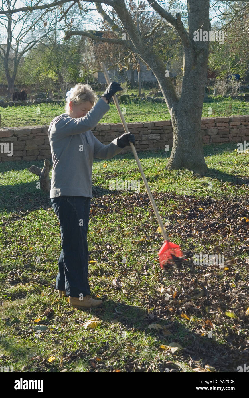 Woman doing garden work Stock Photo - Alamy