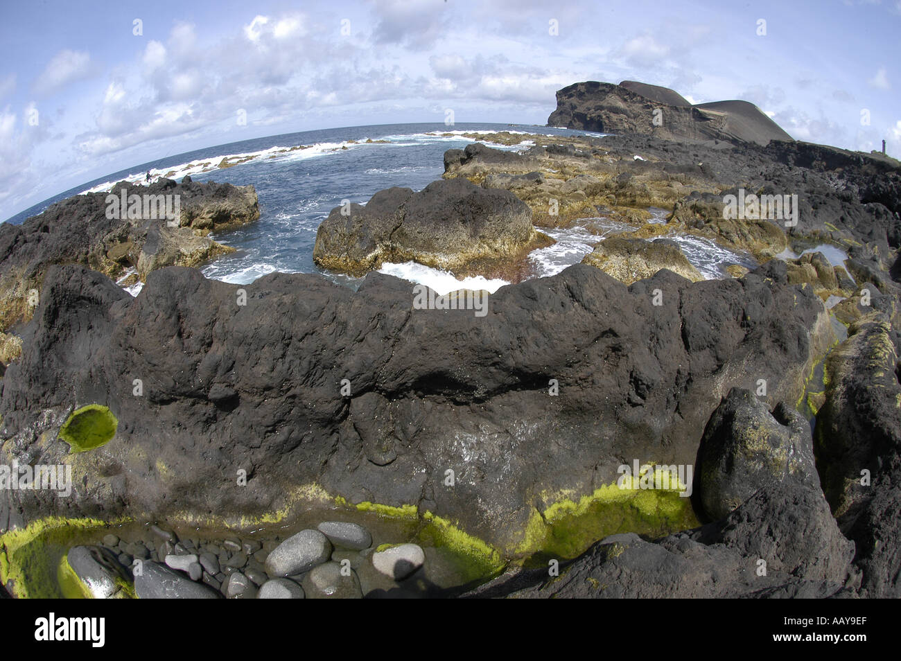 Natural ocean pools and tidepools next to Faial s Island volcano the ...