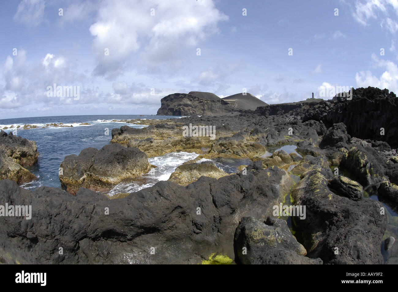 Natural ocean pools and tidepools next to Faial s Island volcano the ...