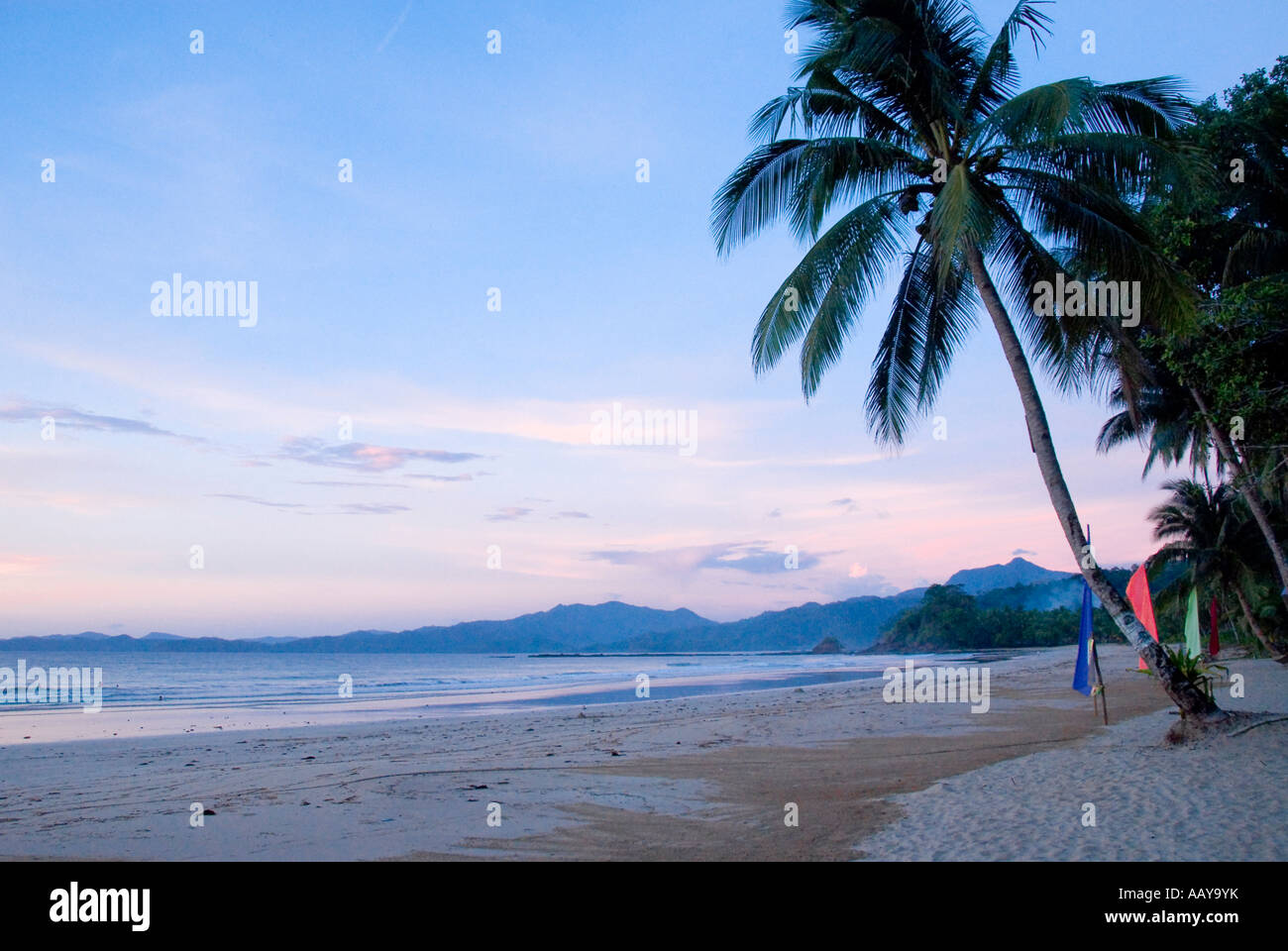 19 04 07 Sabang Palawan Philippines Photo Simon Grosset DSC6620 NEF ...