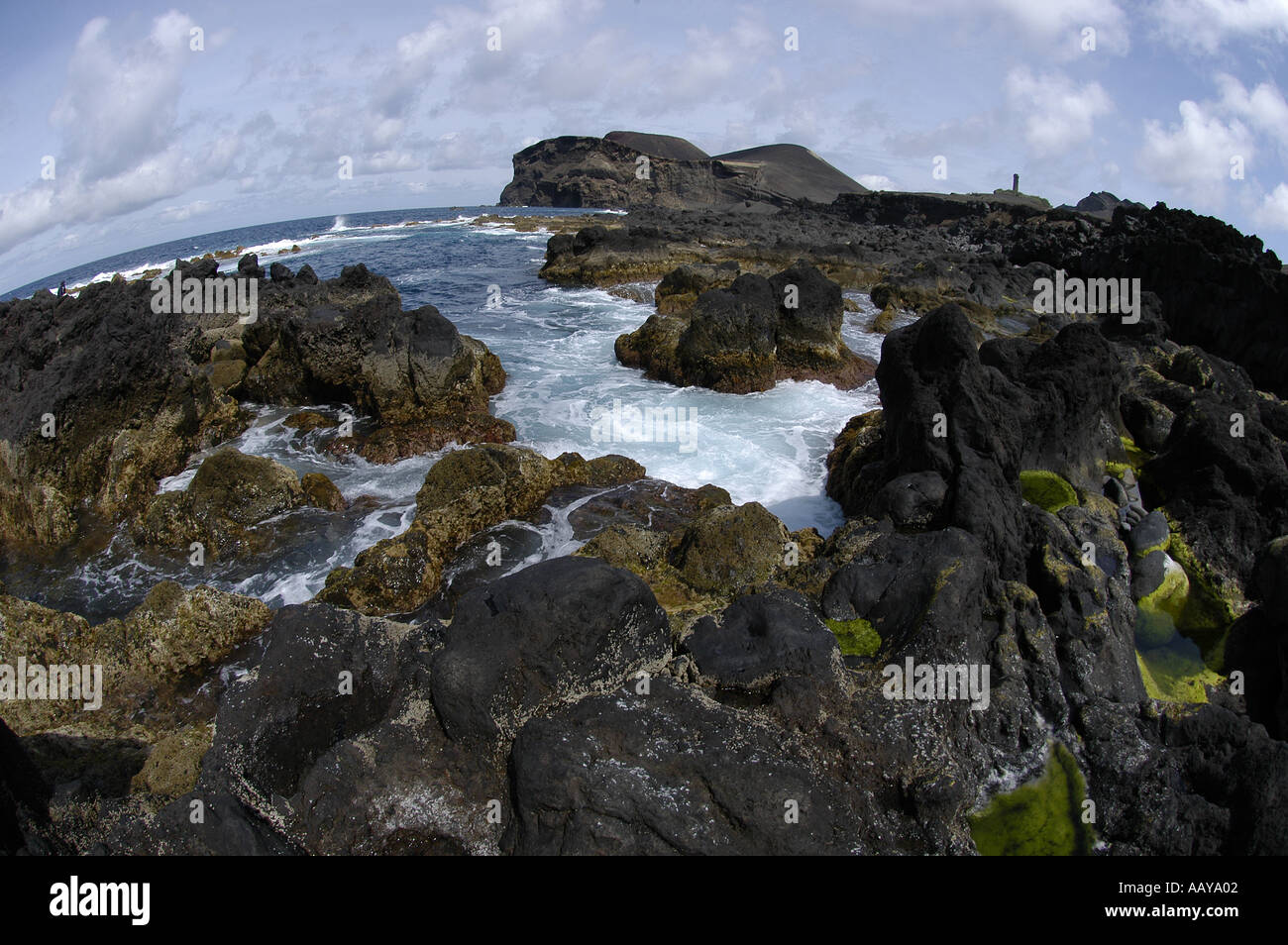 Natural ocean pools and tidepools next to Faial s Island volcano the ...