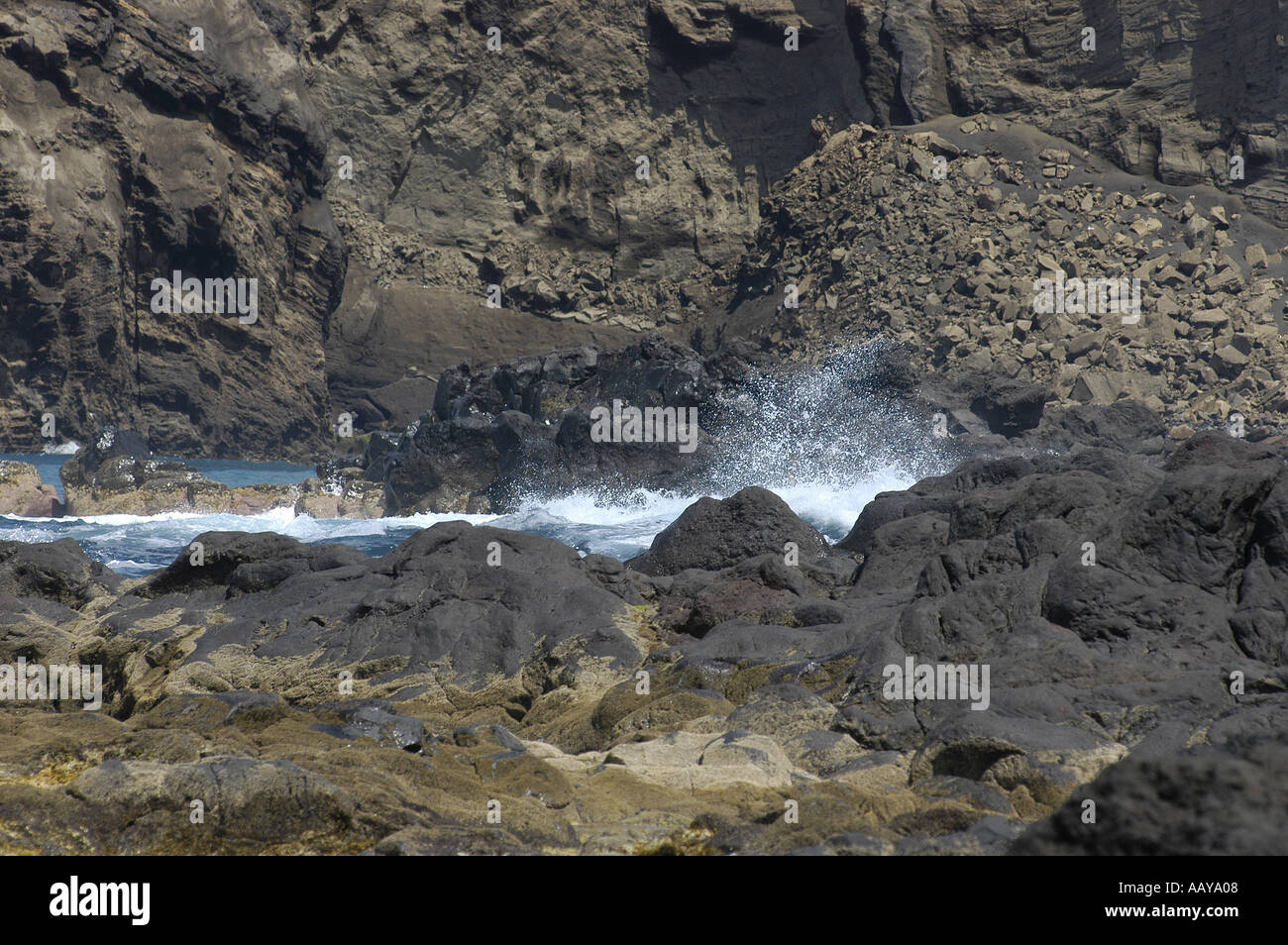 Natural ocean pools and tidepools next to Faial s Island volcano the ...