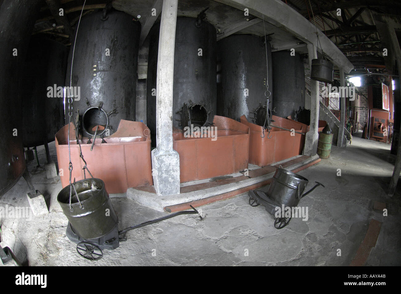 old whaling factory now a sperm whale museum with deep coverage of the ...