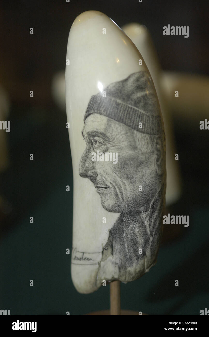 historic scrimshaw portraying Captain Cousteu on tooth of sperm whale ...