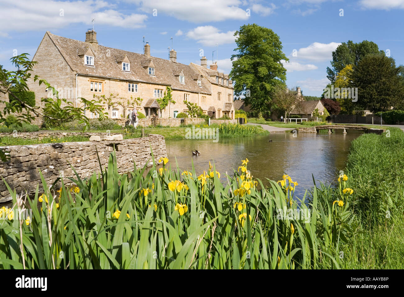 The River Eye flowing throught the Cotswold village of Lower Slaughter ...