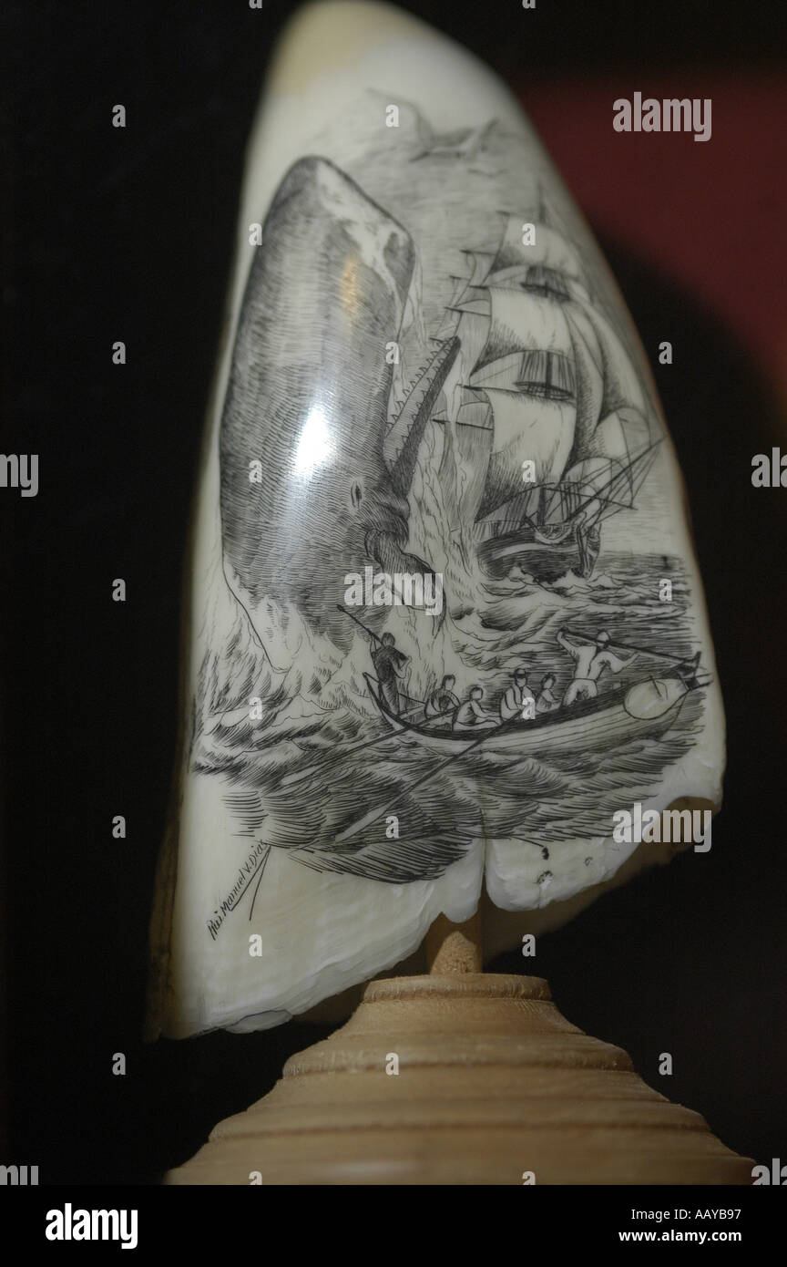 historic scrimshaw of whale hunt on tooth of sperm whale Physeter ...