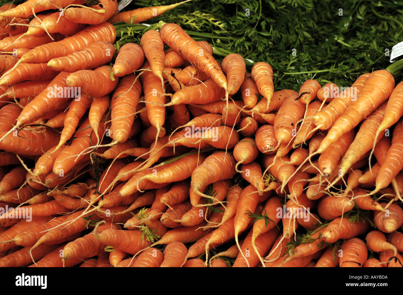 Carrots Organic Farmers Market Union Square New York NY USA Stock Photo ...