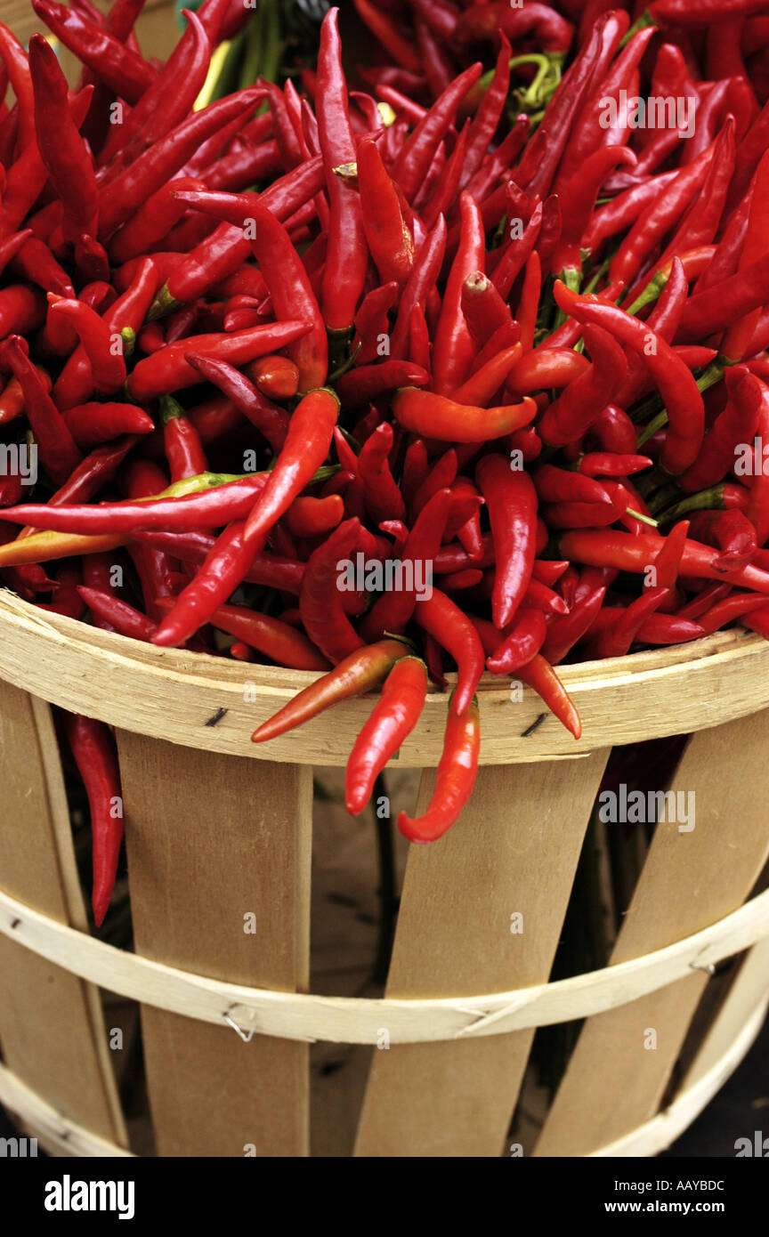 Bunches of chillies hi-res stock photography and images - Alamy