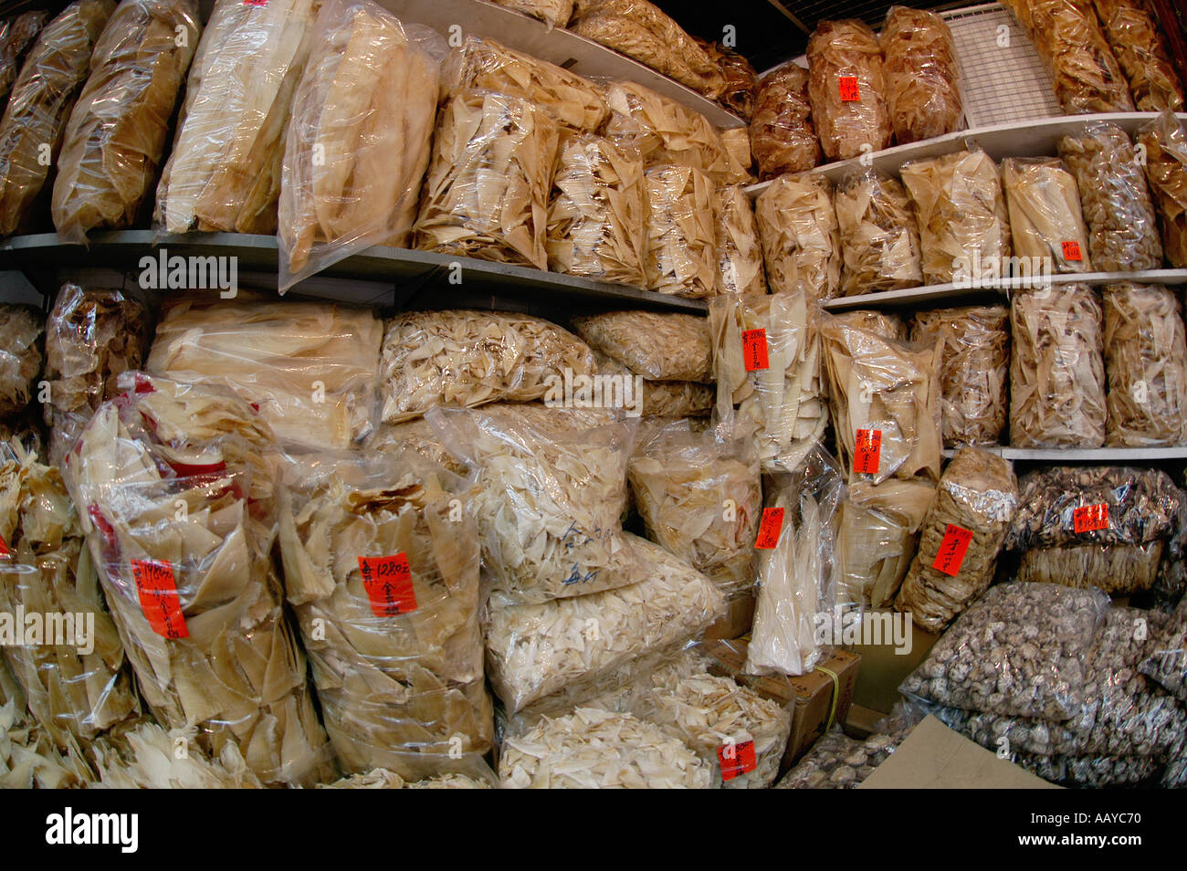 shark finning is one of the world s most destructive fisheries ...