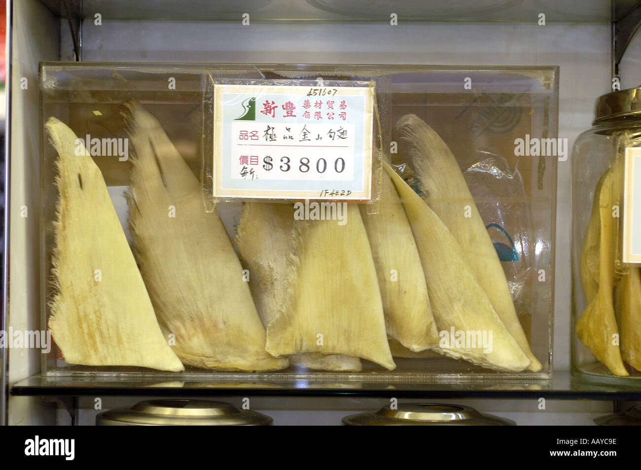 shark finning is one of the world s most destructive fisheries ...