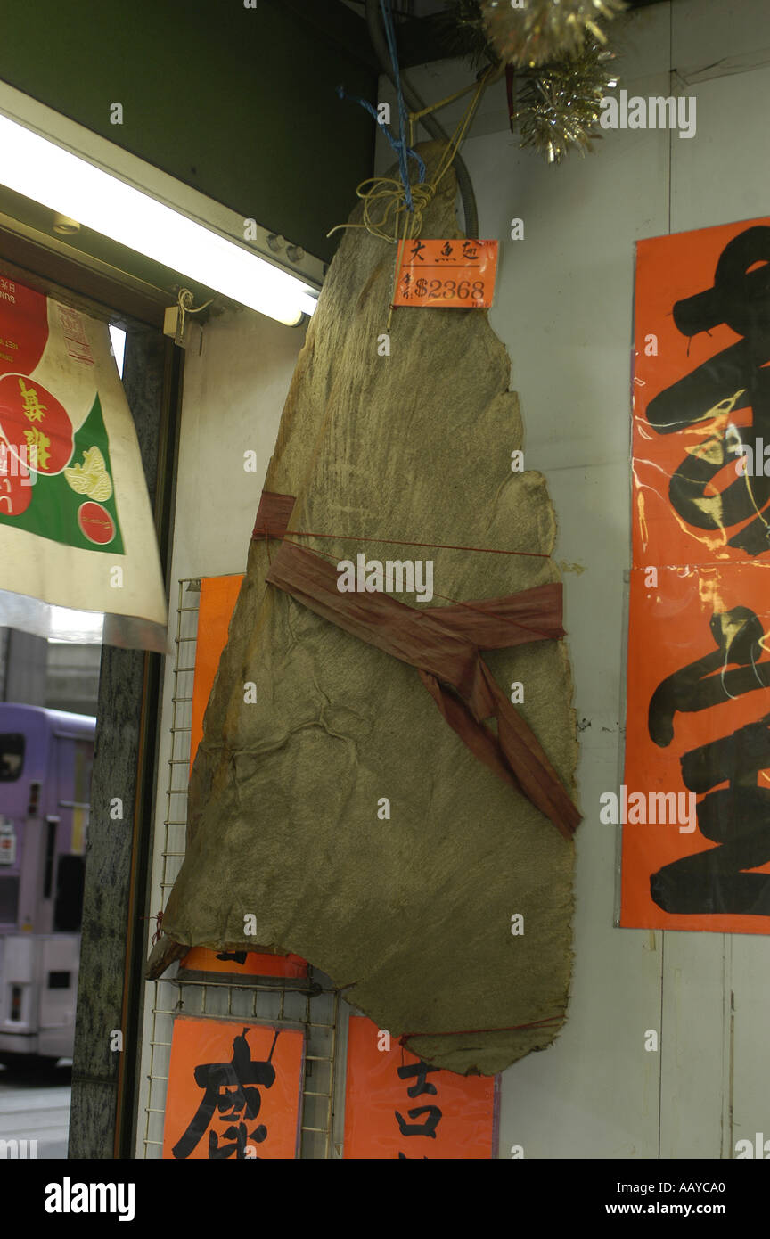 shark finning is one of the world s most destructive fisheries ...