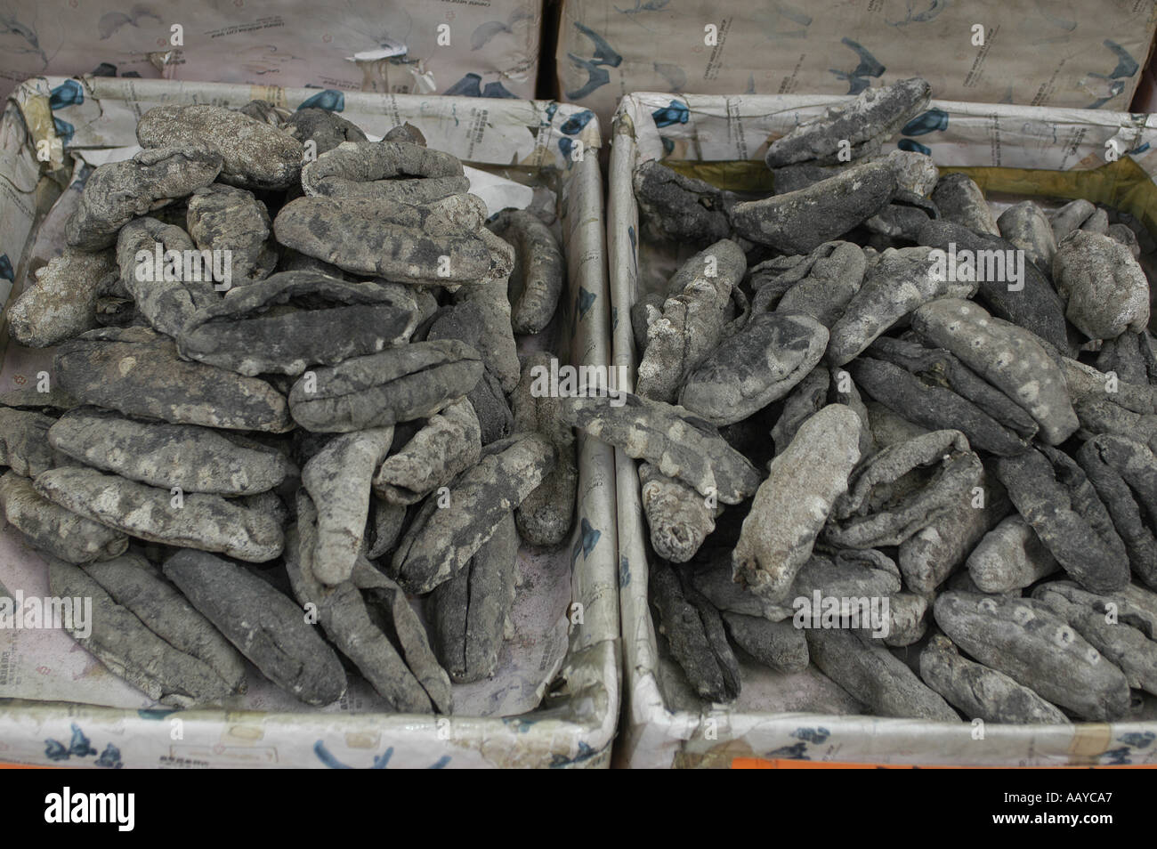 sea cucumbers for sale in a local market as an ingredient in a ...