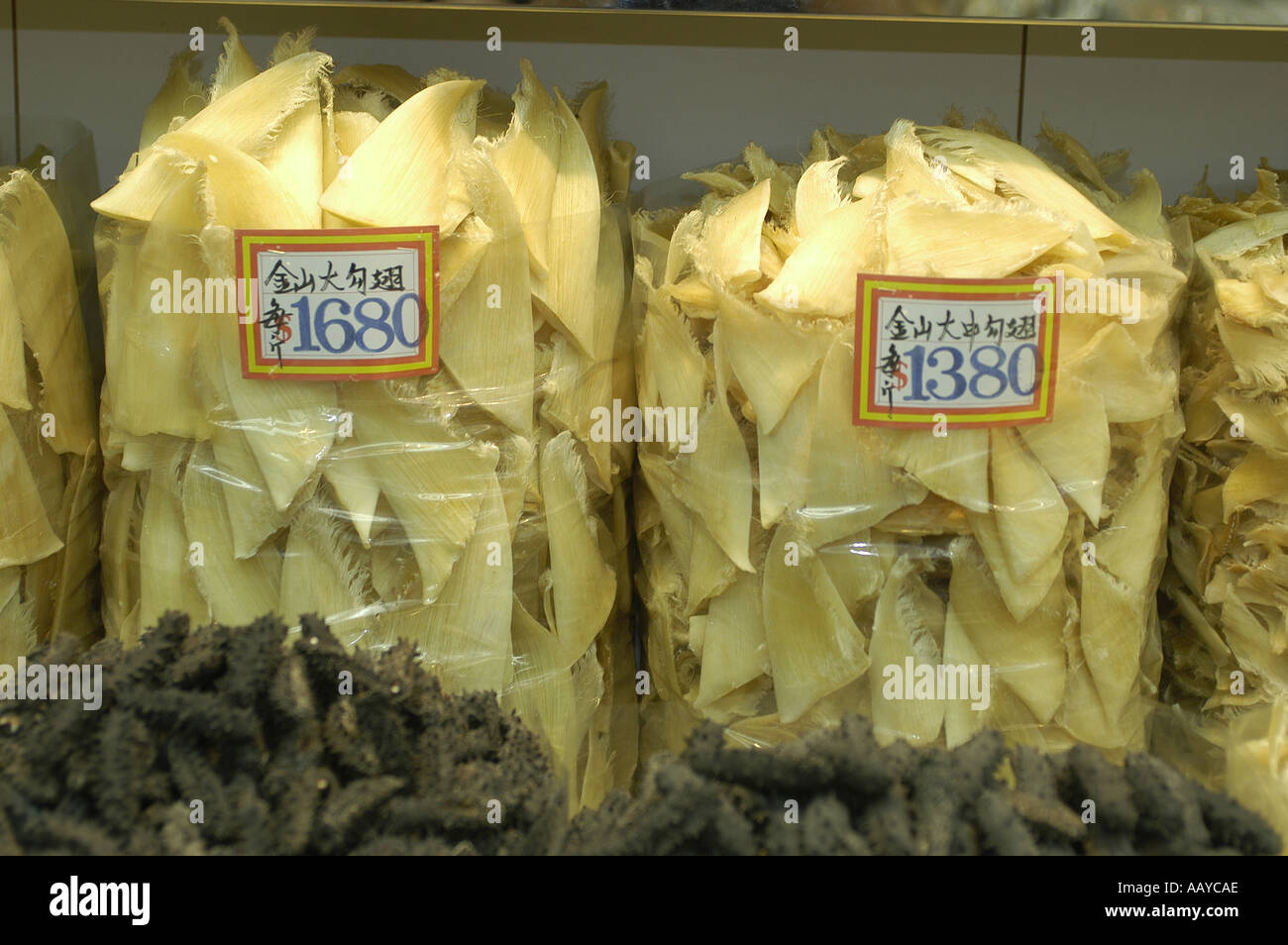 shark finning is one of the world s most destructive fisheries ...