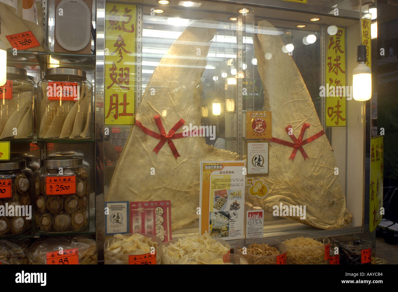 shark finning is one of the world s most destructive fisheries ...