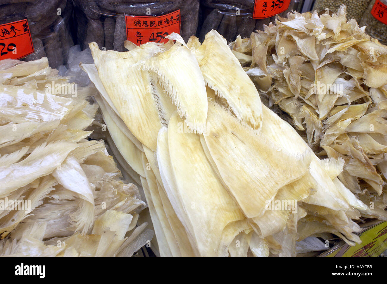 shark finning is one of the world s most destructive fisheries ...