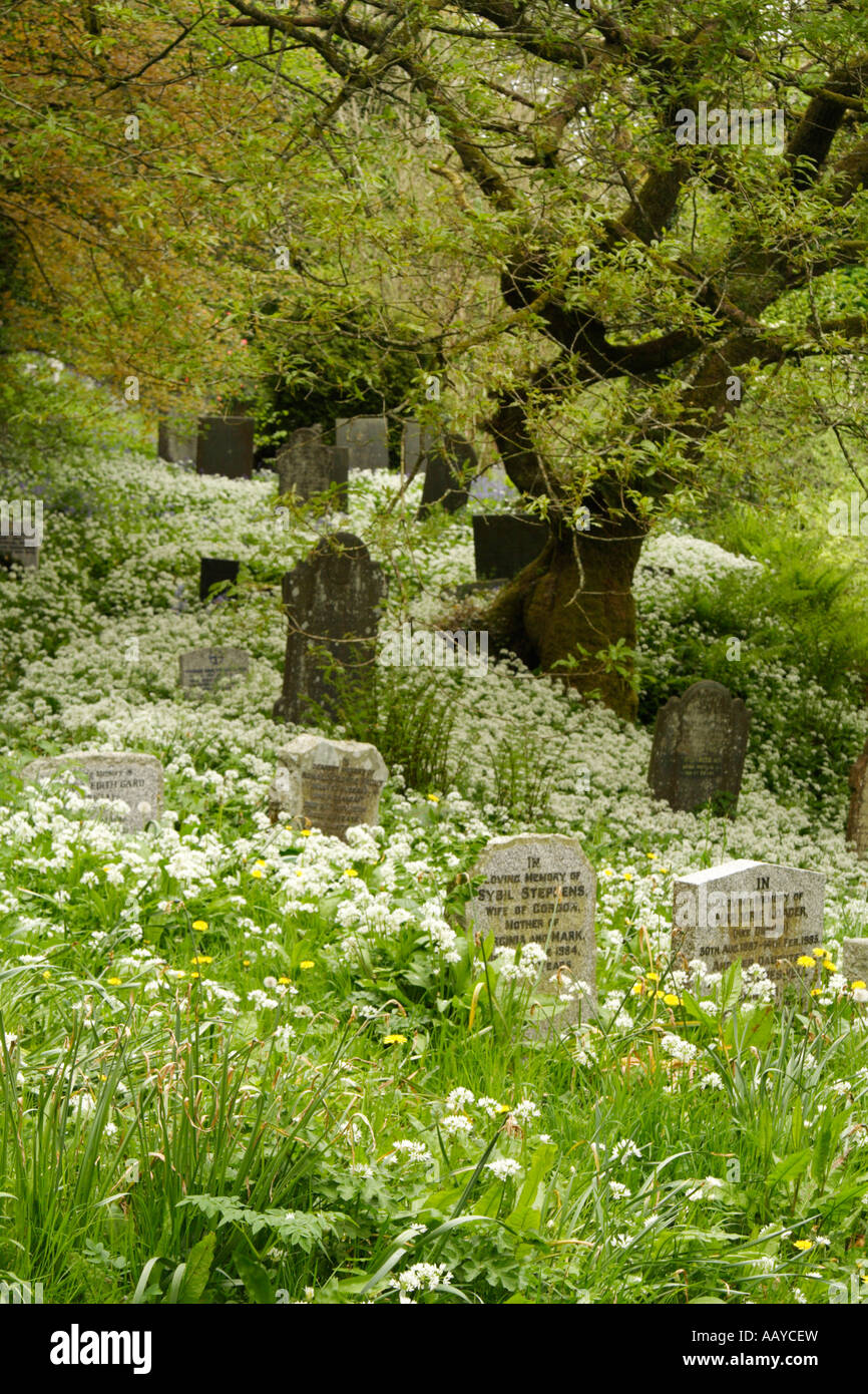 Minster church, boscastle hi-res stock photography and images - Alamy