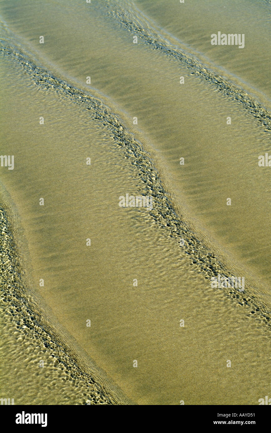 Incoming tide creates patterns in sand Long Beach Pacific Rim National ...