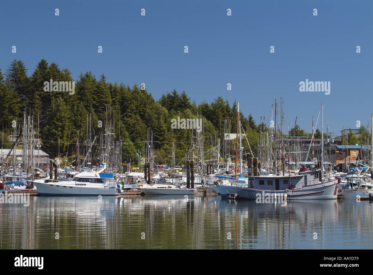 Ucluelet port hi-res stock photography and images - Alamy