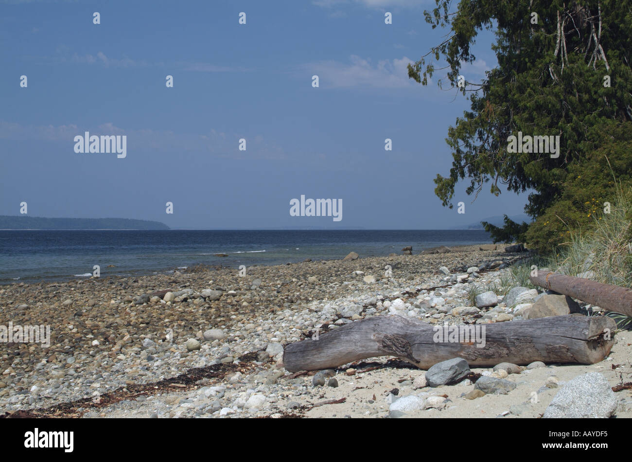 Willingdon hi-res stock photography and images - Alamy