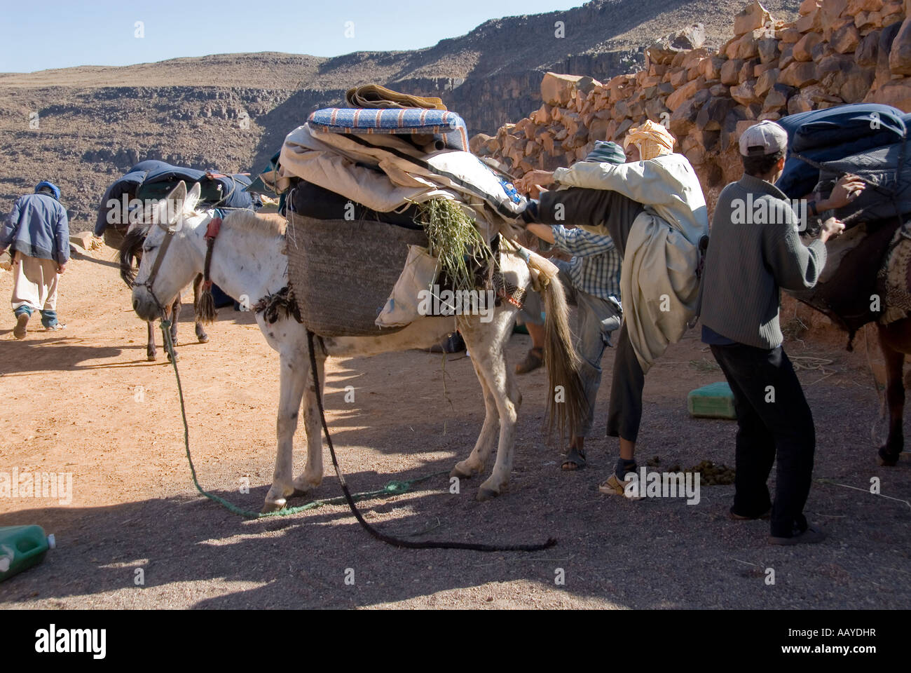 05 07 Jebel Saghro Morocco Walking with the Ait Atta nomads a Berber ...
