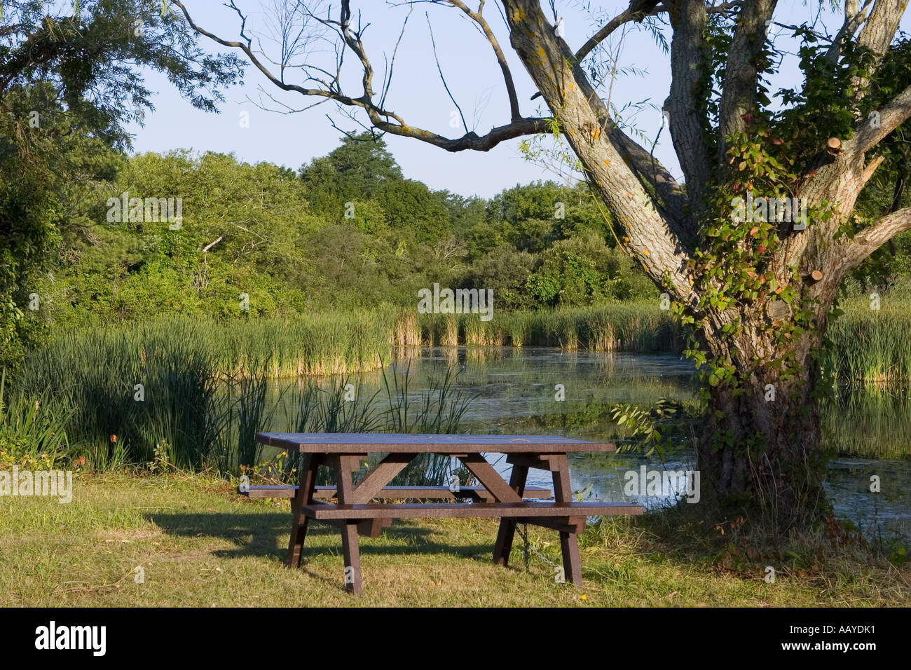 picnic area at Baxter Grist Mill Yarmouth Massachusetts Stock Photo - Alamy