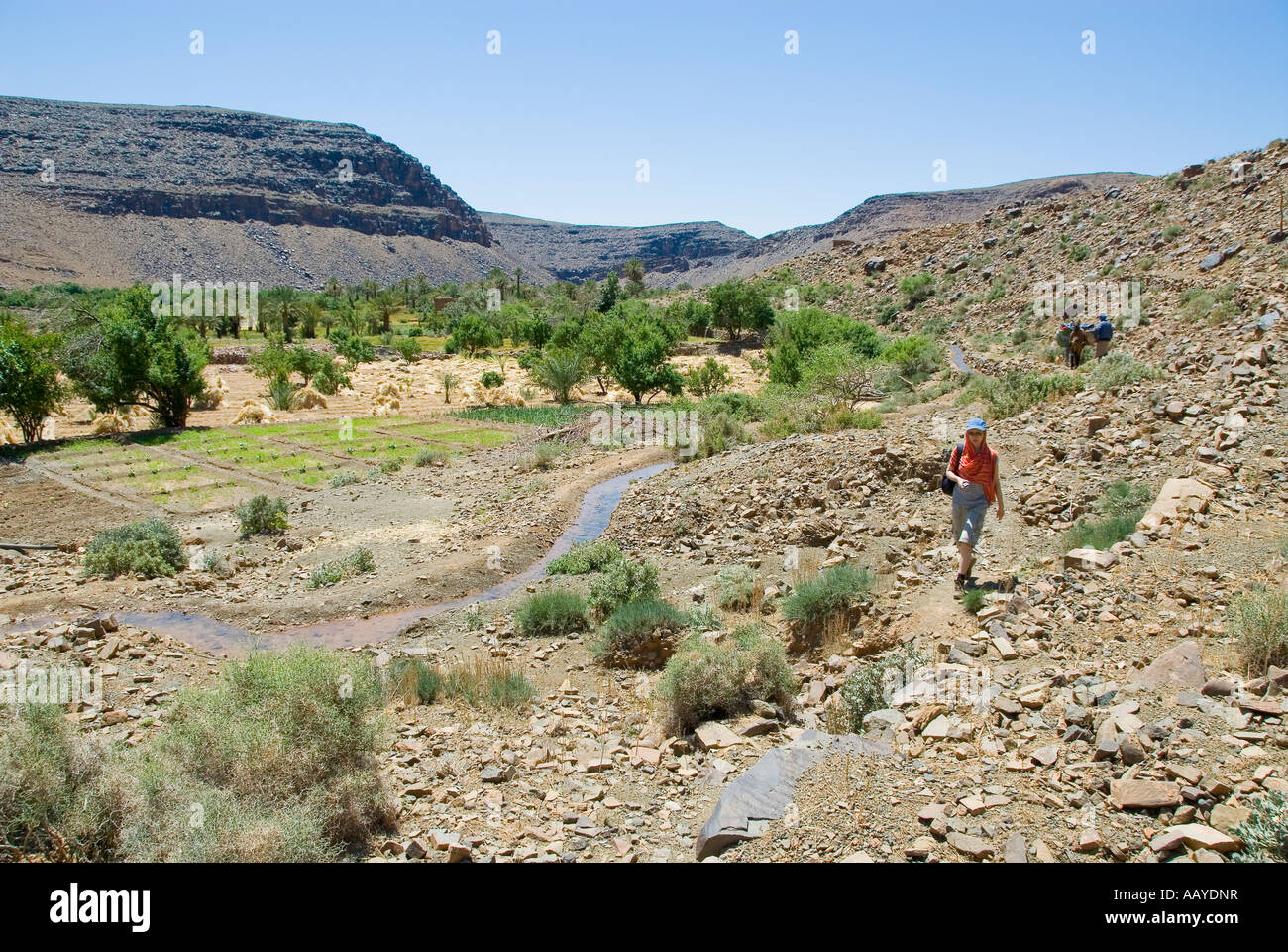 05 07 Jebel Saghro Morocco Walking with the Ait Atta nomads a Berber ...