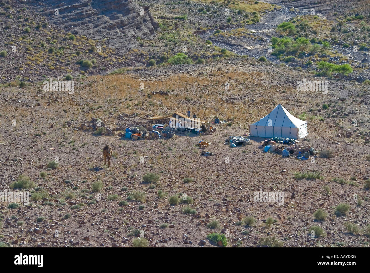05 07 Jebel Saghro Morocco Walking with the Ait Atta nomads a Berber ...