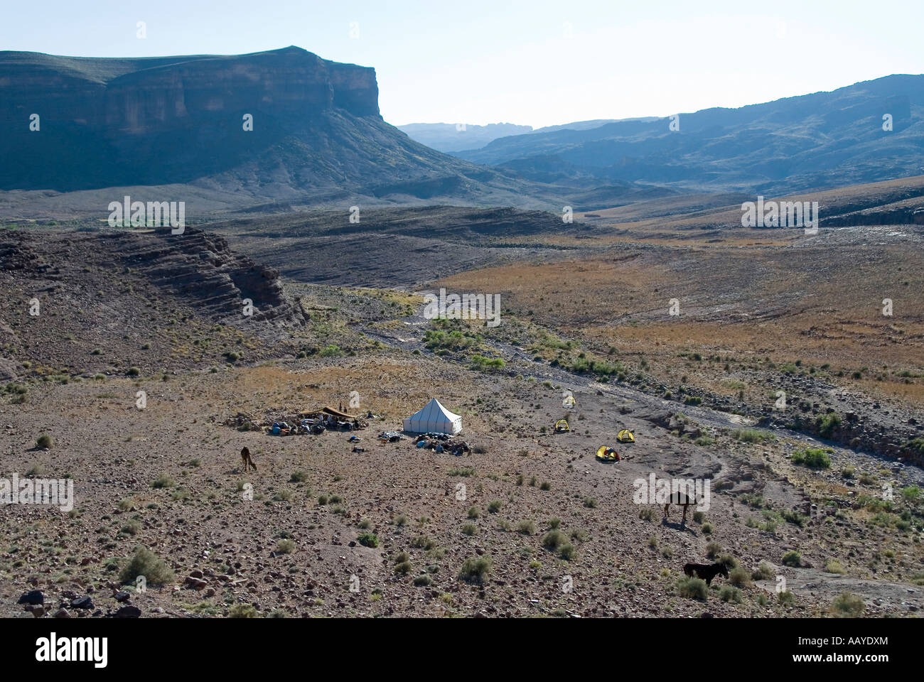 05 07 Jebel Saghro Morocco Walking with the Ait Atta nomads a Berber ...