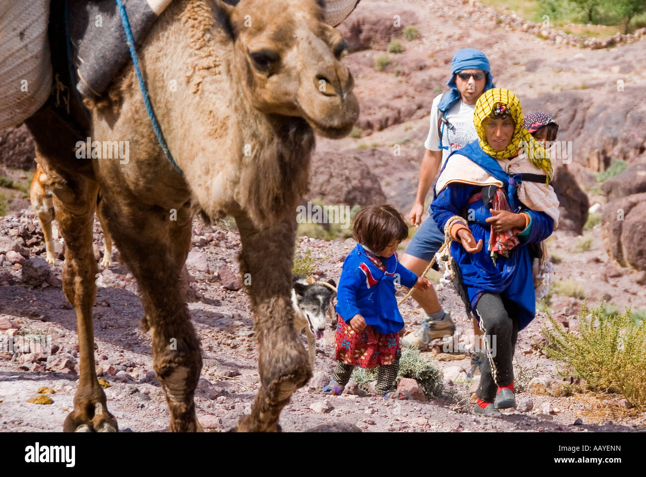 05 07 Jebel Saghro Morocco Walking with the Ait Atta nomads a Berber ...